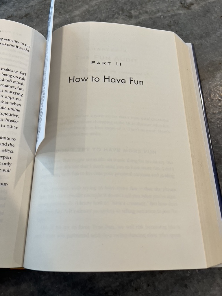 Book: The Power Of Fun: How To Feel Alive Again | Daymark Career Coaching