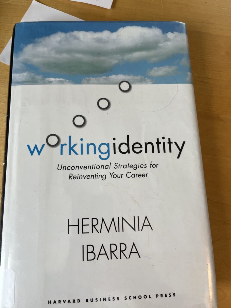 Working Identity: A book with a combination of strategy and inspiration ...